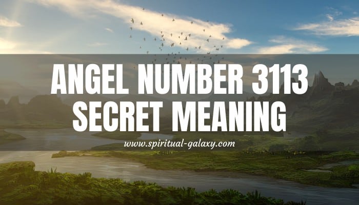 Angel Number 3113 Secret Meaning: Begin On Your Chosen Route ...